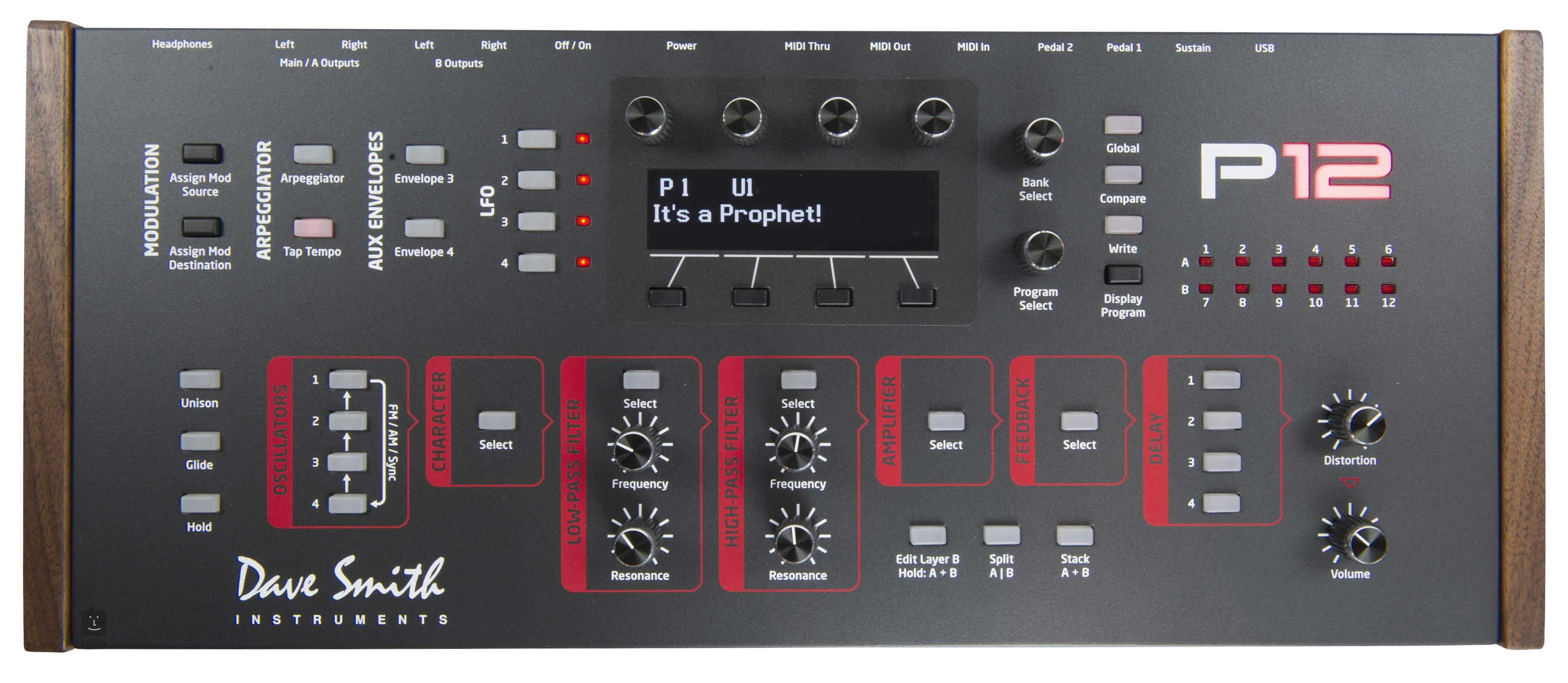 DAVE SMITH INSTRUMENTS Prophet 12 Module Synthesizer