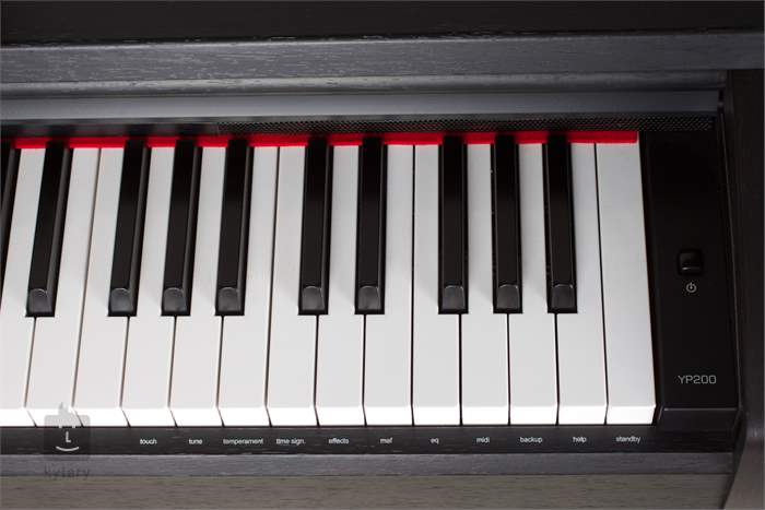 GALILEO YP-200 | Kytary.cz