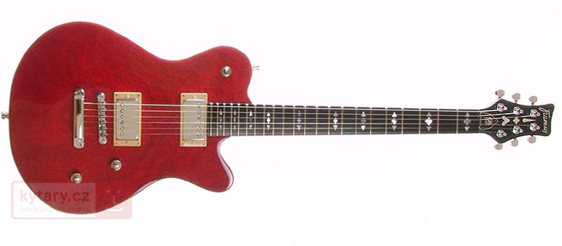 FRAMUS Panthera Custom CUSTOM SHOP Elektrická kytara | Kytary.cz