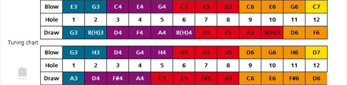 HOHNER Echo 48 Tremolo Harmonica | Kytary.fr