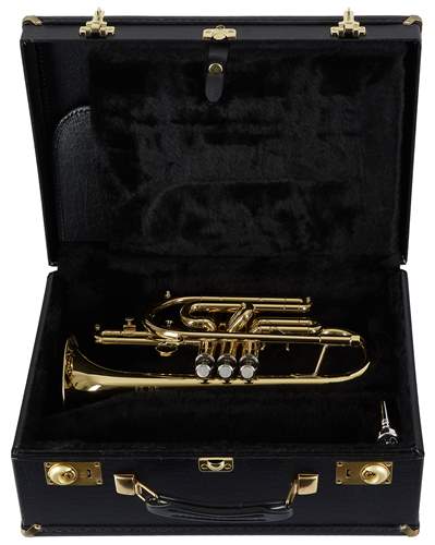 GETZEN 800 Eterna Cornet | Kytary.fr