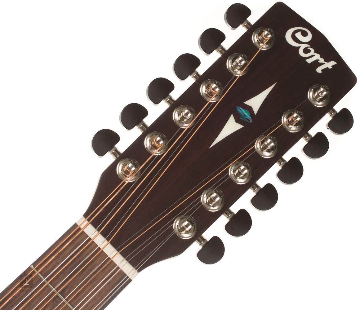 CORT Earth 70-12 OP Guitare acoustique a douze cordes