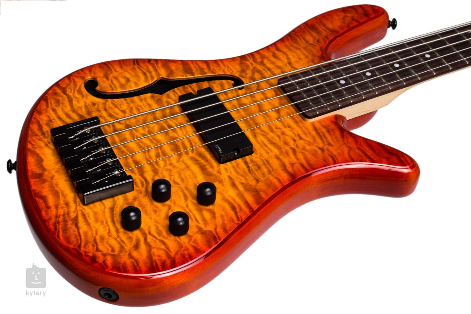 SPECTOR Spectorcore 5 AB G Basse semi acoustique