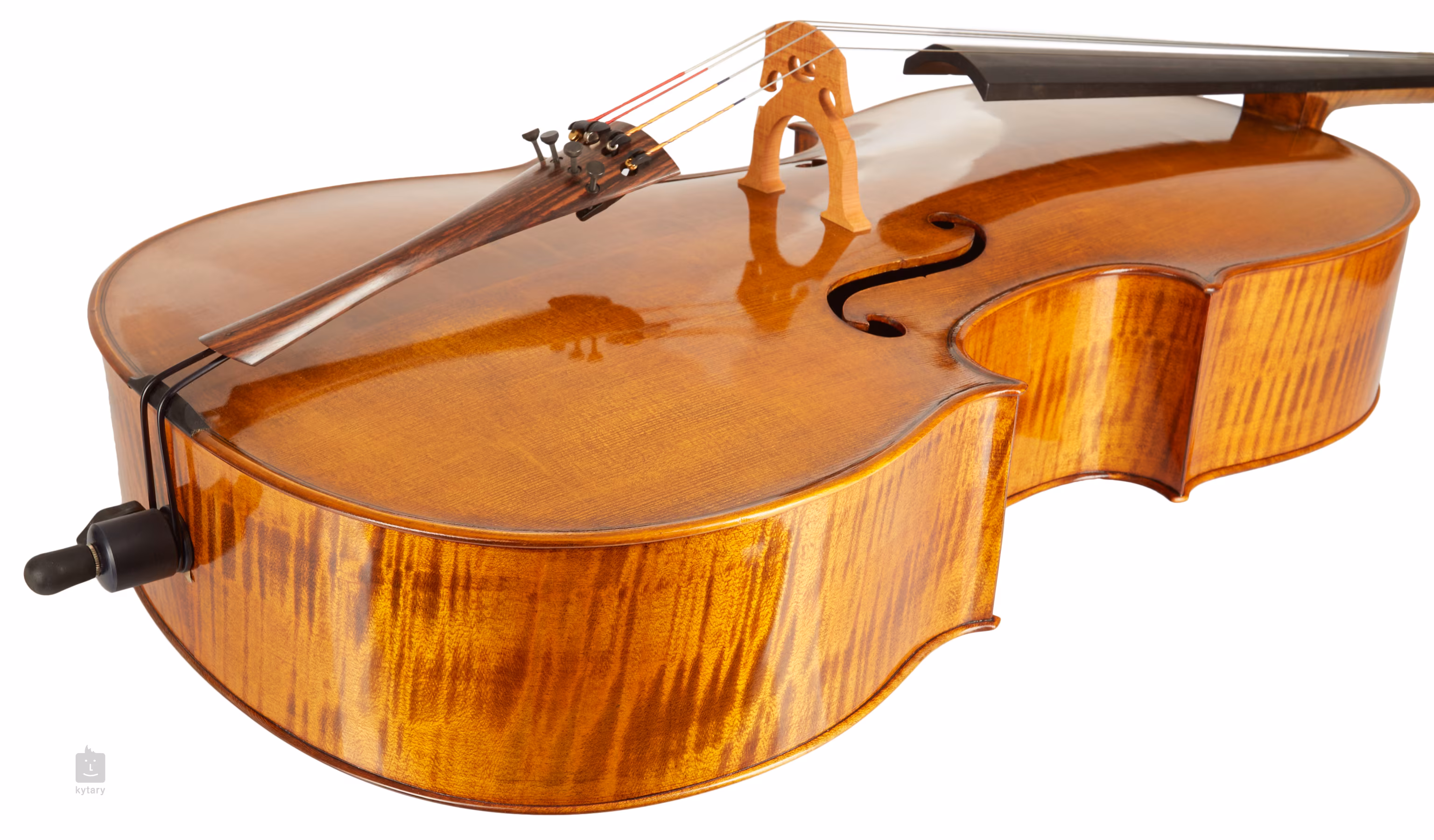 MAESTRO INSTRUMENT Petr Rácz Violoncello anno 2015 Violoncelle | Kytary.fr