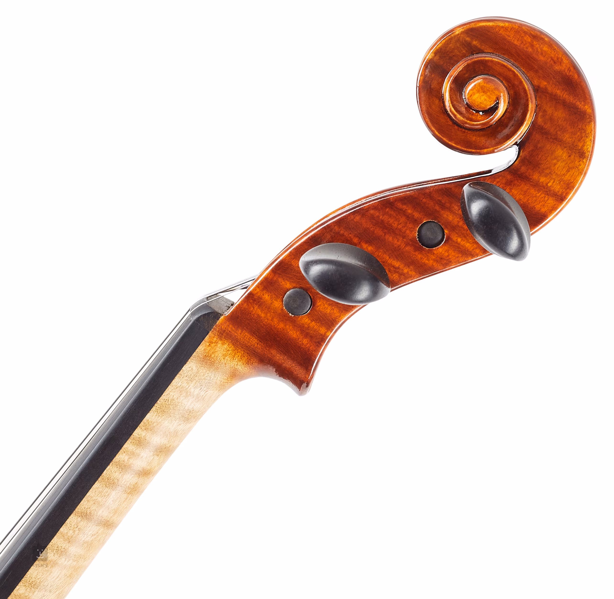 MAESTRO INSTRUMENT Petr Rácz Concerto 2020 Violon acoustique | Kytary.fr