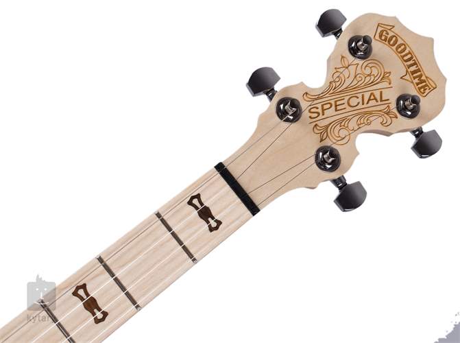 DEERING Goodtime Special Openback Banjo Banjo DEERING Goodtime Special Openback Banjo Banjo