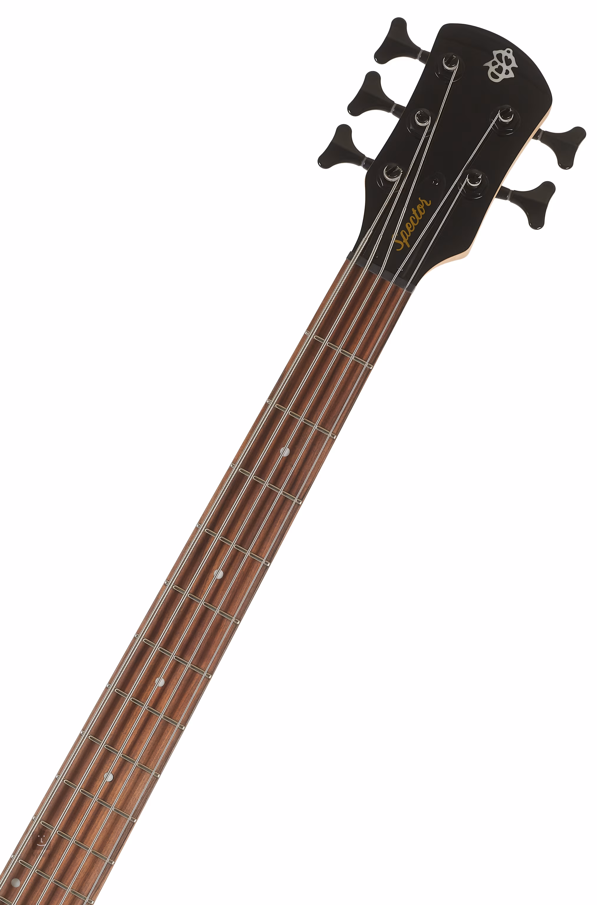 SPECTOR Legend 5 Alex Webster Elektryczna gitara basowa | Kytary.pl