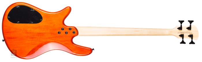 SPECTOR Spectorcore 4 AB G Chitară bass semi-acustică